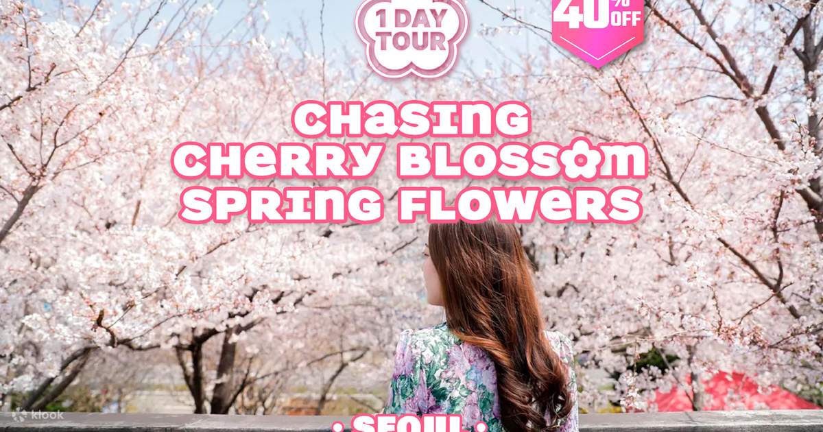 Cherry Blossom Blindbox Day Tour dari Seoul & Busan - Klook Amerika Syarikat